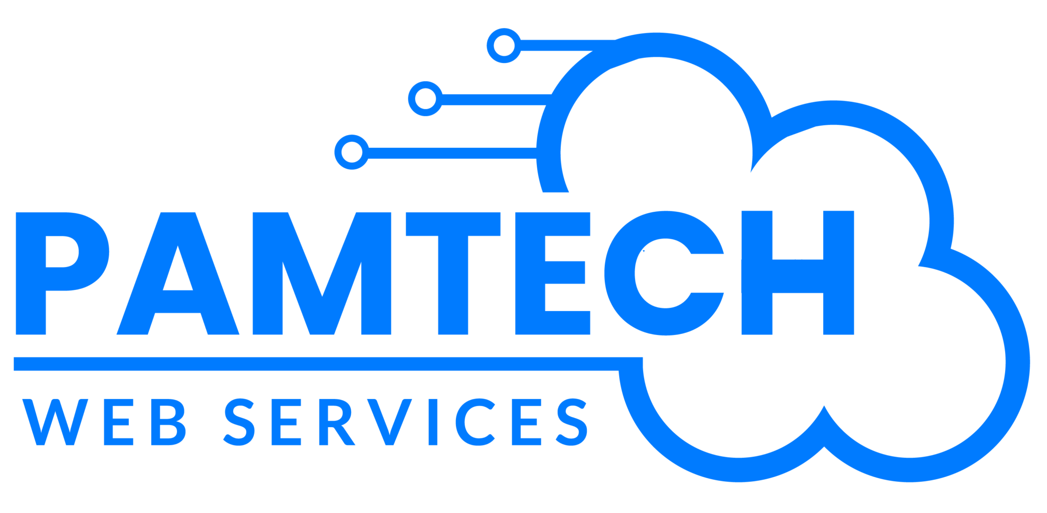 PAMTECH WEB SERVICES - We turn idea to reality
